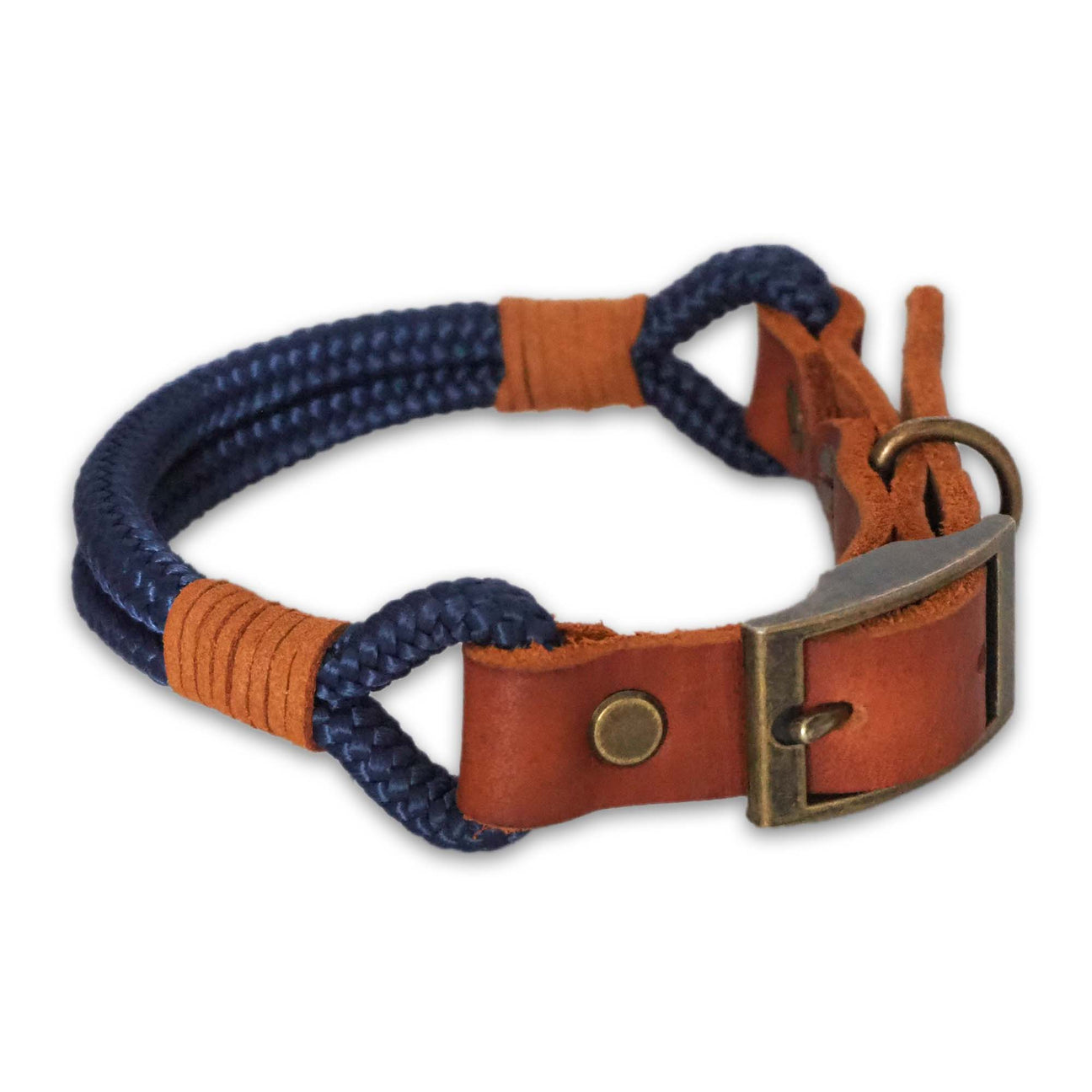 Luxus Geschirr Oder Halsband Bild